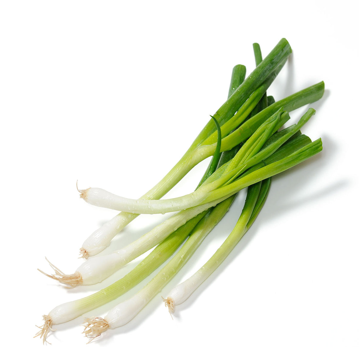 Best Organic, Open-Pollinated, Non-GMO Onion Seeds - Buy Online: The ...