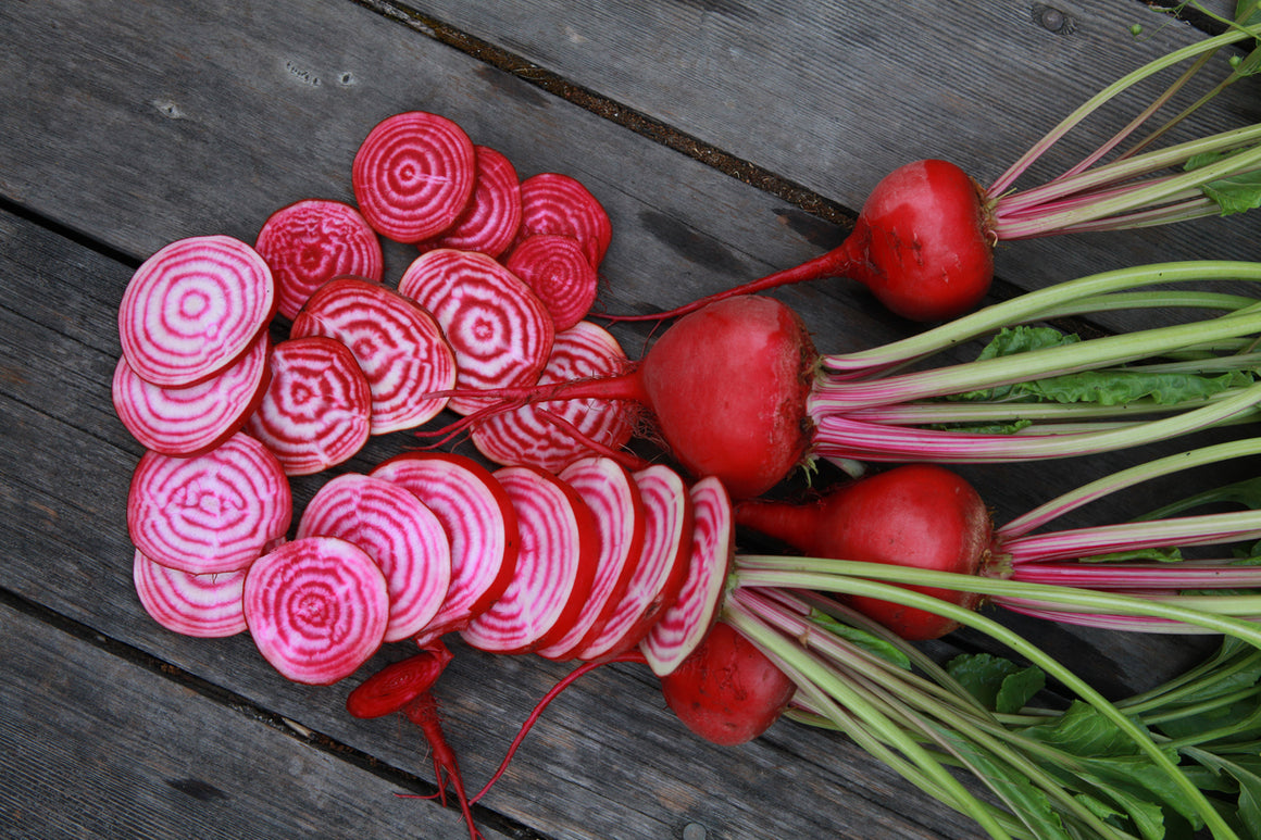 Certified Organic, Non-GMO, Family Owned Heirloom Seed Company – The ...