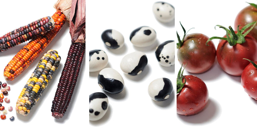 Certified Organic, Non-GMO, Family Owned Heirloom Seed Company – The ...