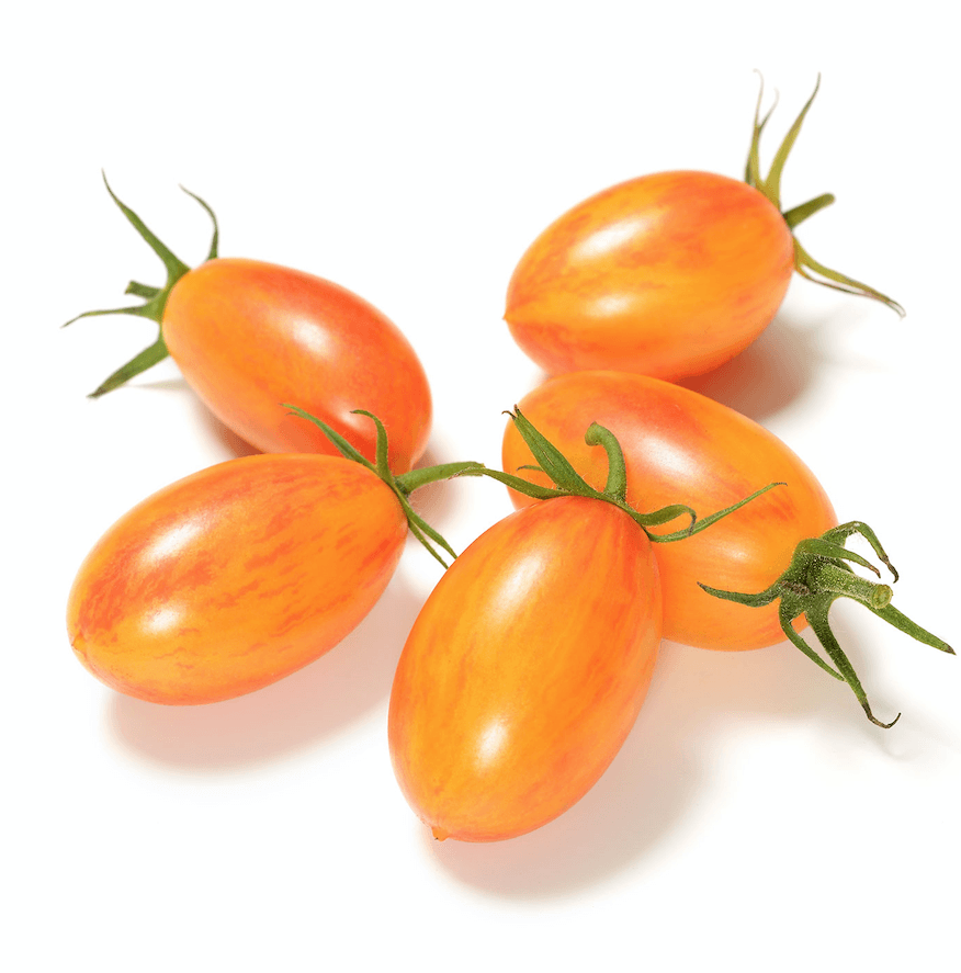Best Non-GMO Blush Tomato Seeds - Buy Online: The Living Seed Company ...
