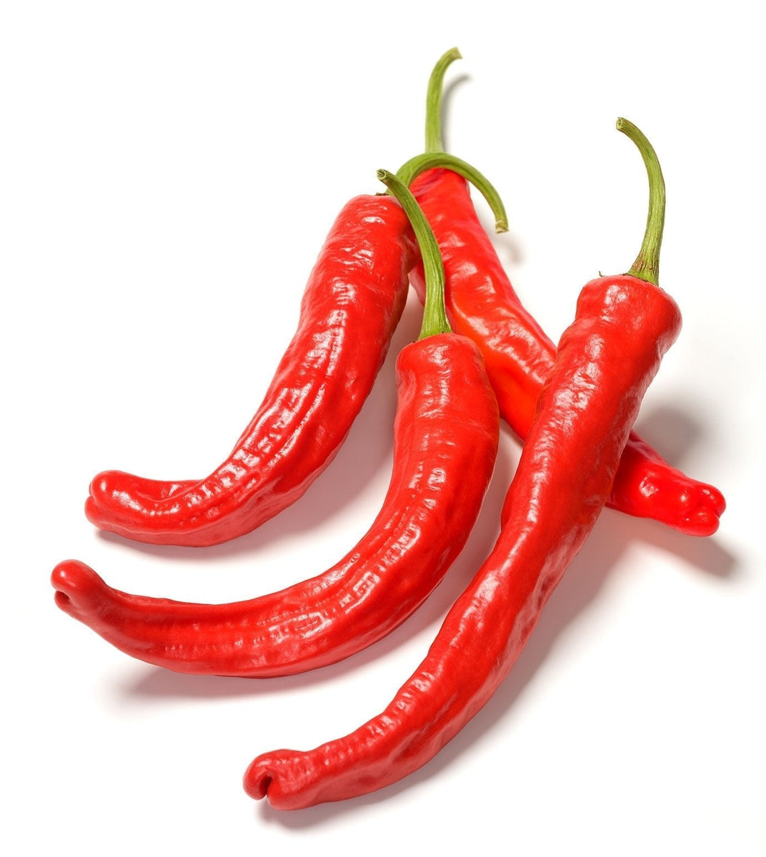 Carolina Cayenne Hot Pepper Seed Capsicum annuum NonGMO OpenPollinated ...