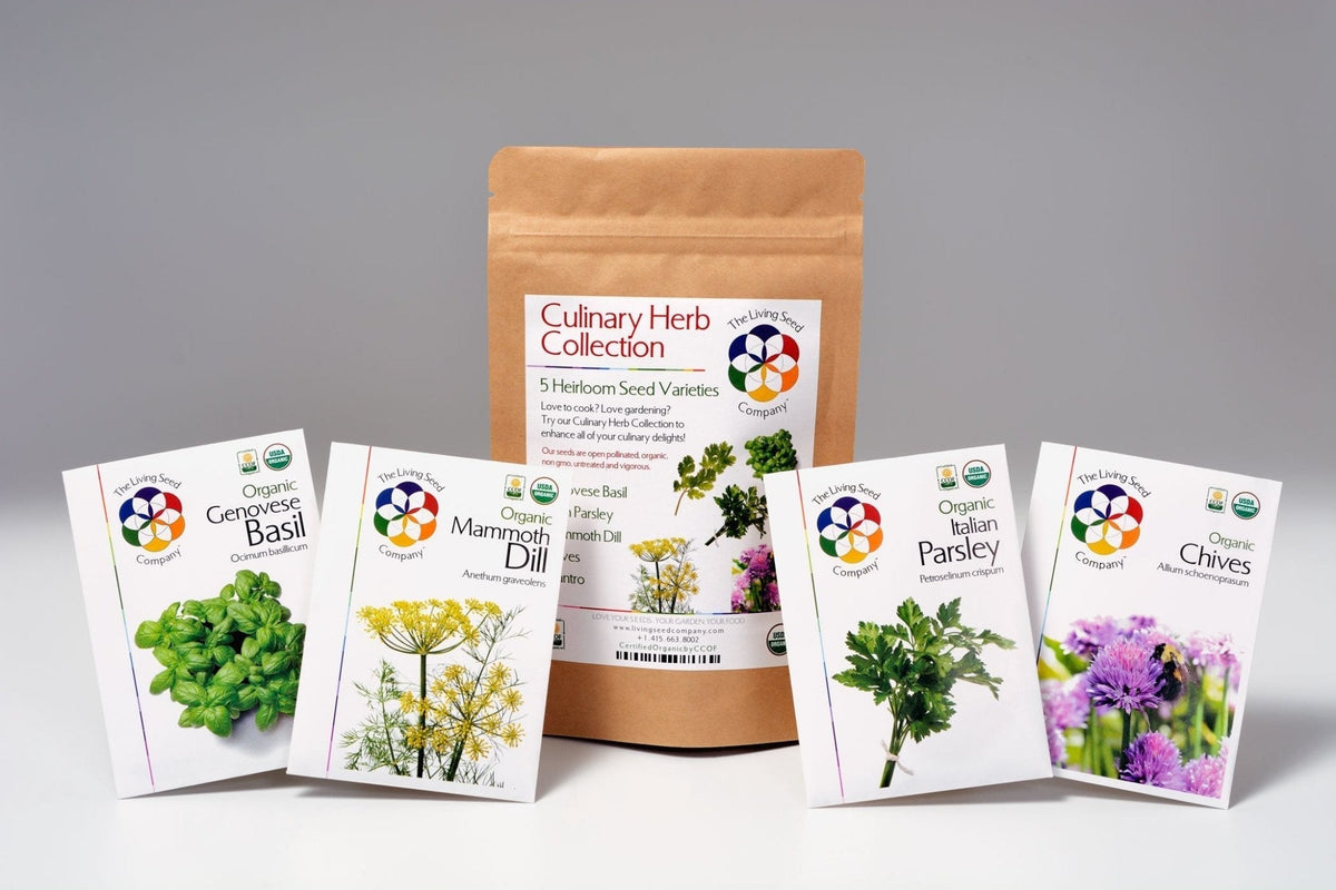 Organic Culinary Garden Seed Collection - 5 Variety – The Living Seed ...